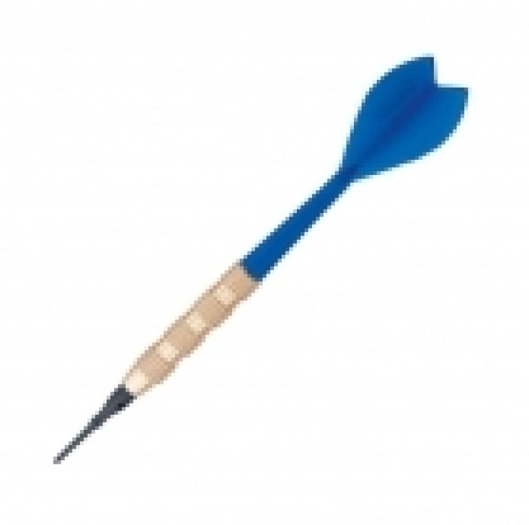 Šipky a šipkové zboží | E-shop se šipkovým vybavením